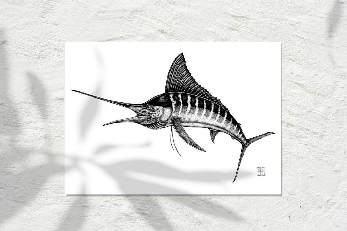 Marlin 2020 – Rachellee Illustration